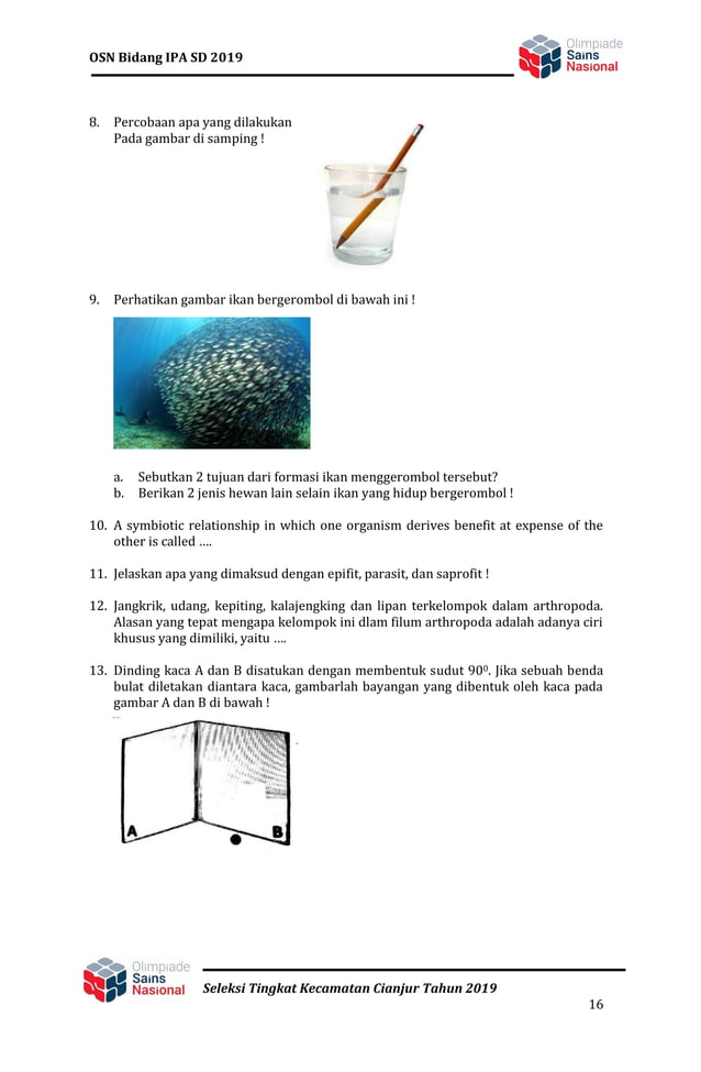 Soal osn ipa 2019 | PDF