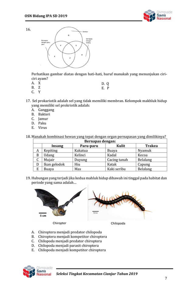 Soal osn ipa 2019 | PDF