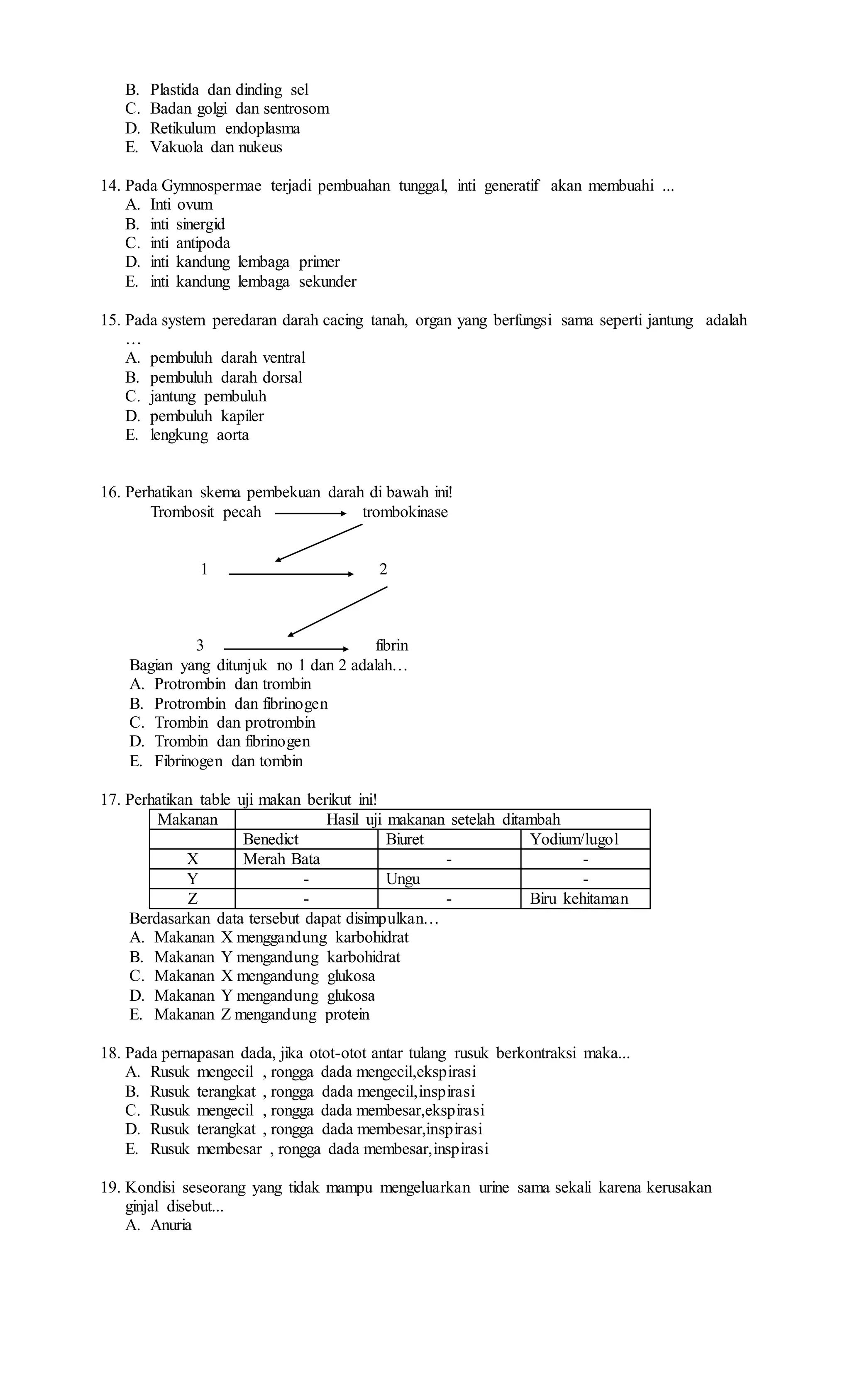 contoh soal UN SMA\ | DOCX