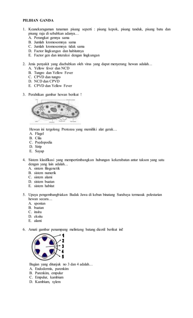 contoh soal UN SMA\ | DOCX