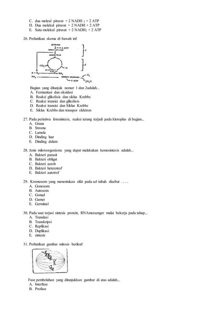 contoh soal UN SMA\ | DOCX