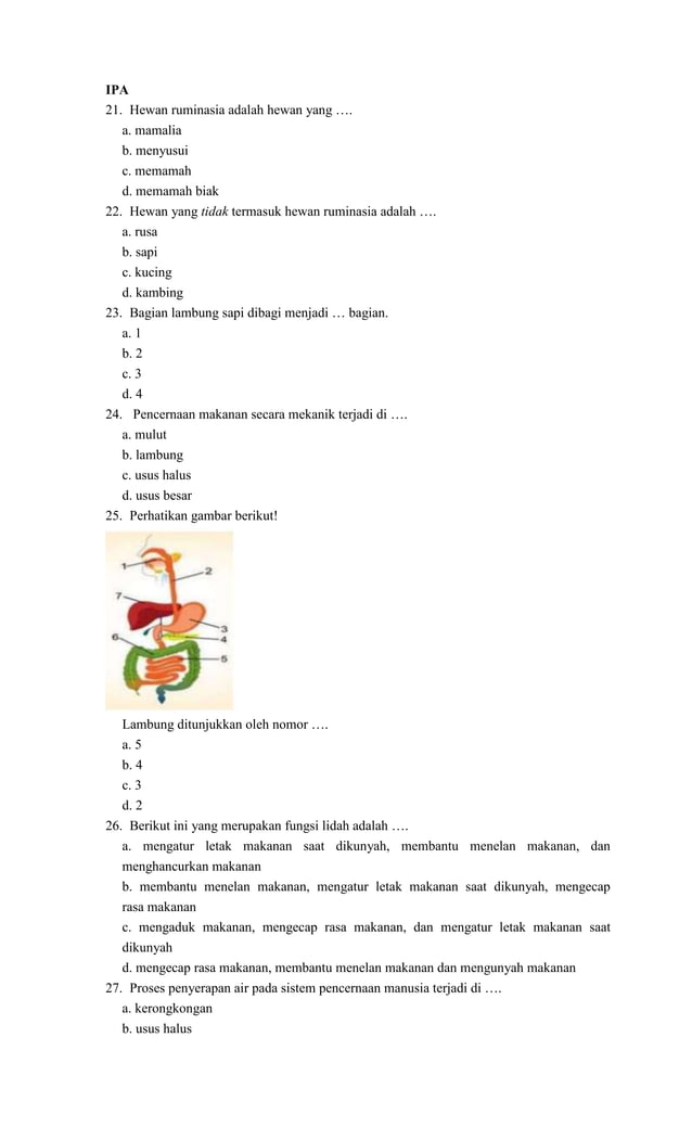 SOAL PENILAIAN AKHIR SEMESTER KELAS 5 TEMA 3docx | PDF