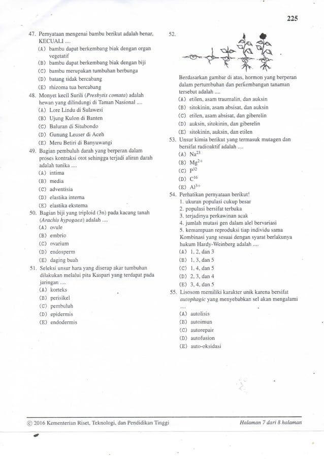 SOAL SBMPTN TKD SAINTEK DAN KUNCI JAWABAN | PDF