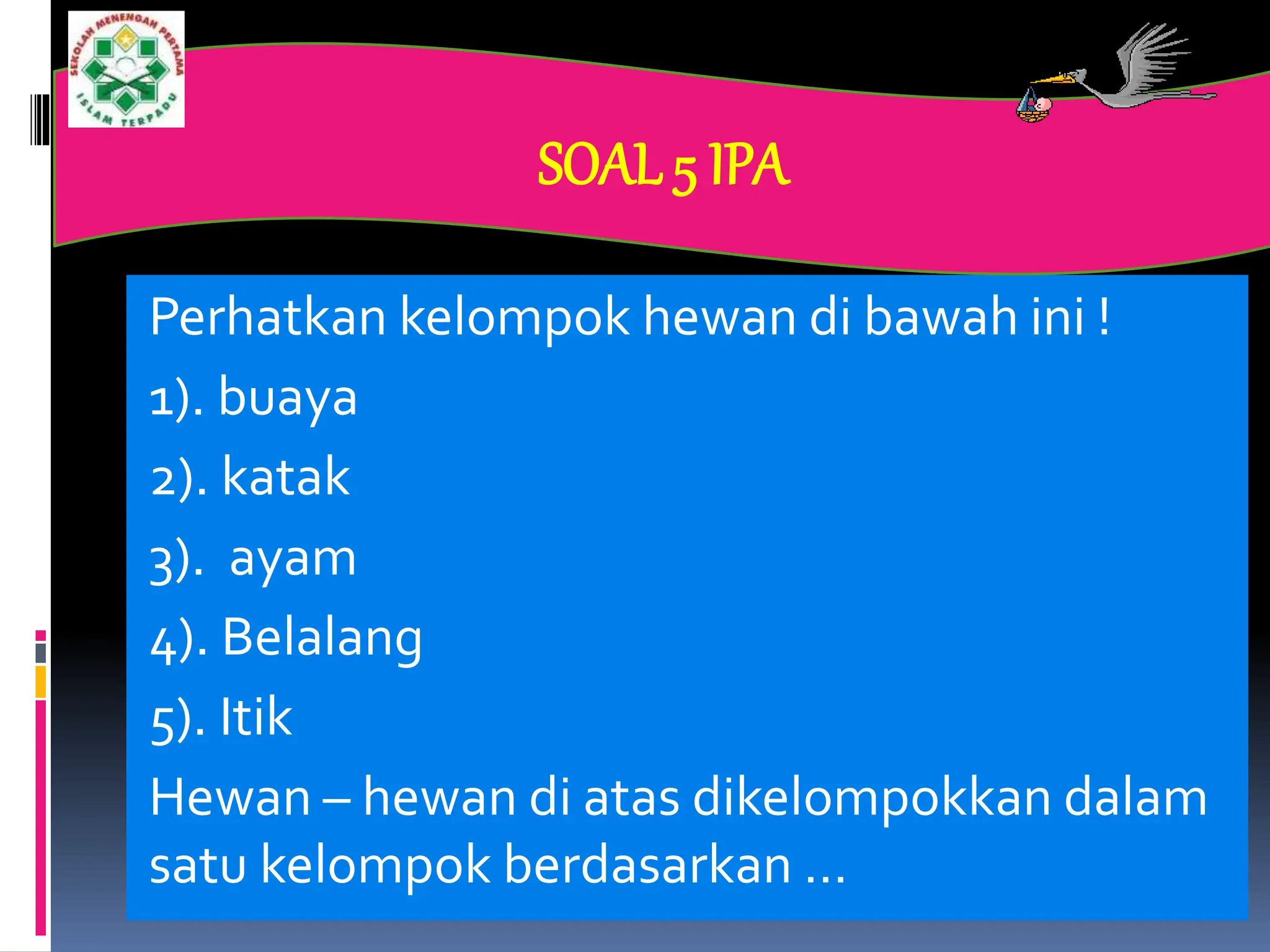 SOAL IPA SEKOLAH DASAR LOMBA RANGKING SATU.ppt
