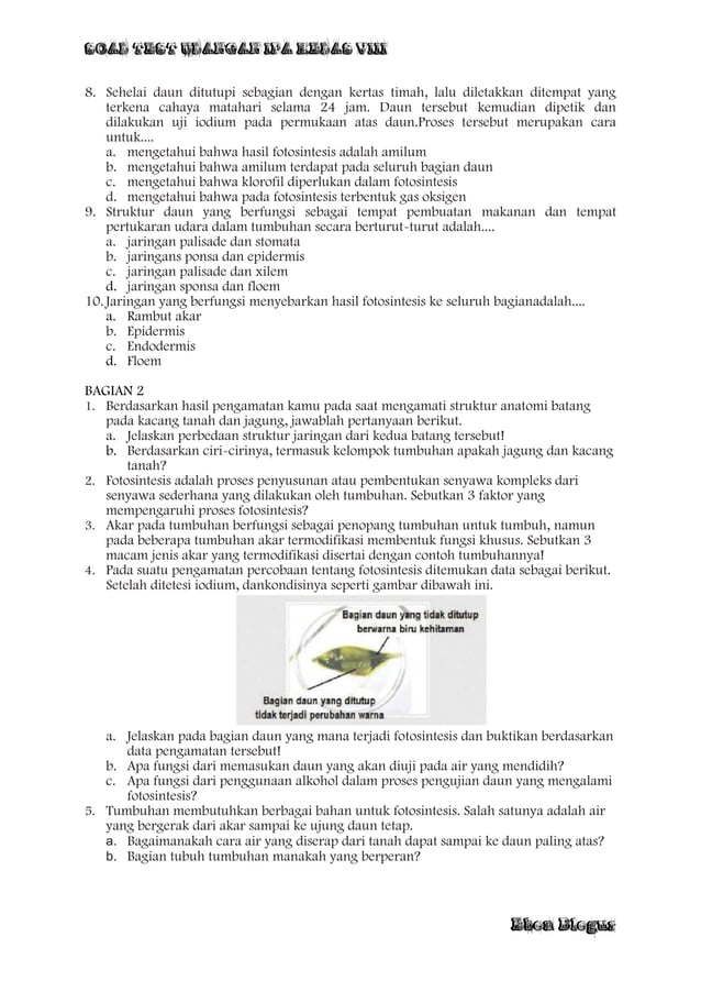SOAL ULANGAN HARIAN KELAS VIII (BAB III-VI) | PDF