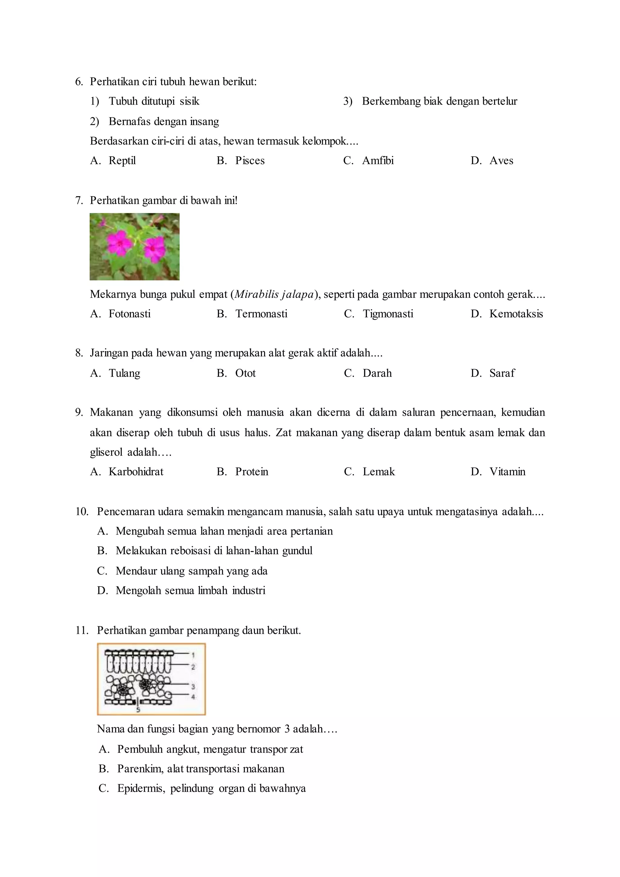 Soal try out un kelas 9 biologi | DOCX