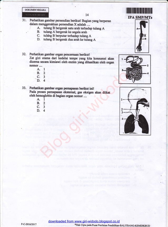 Soal uas ipa kelas 9 semester | PDF