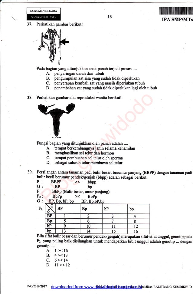 Soal uas ipa kelas 9 semester | PDF