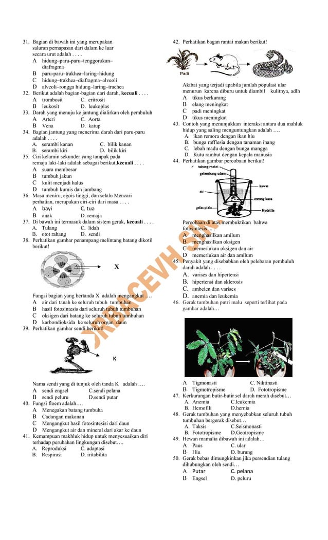 Soal uas ipa kls 8 smt 2 | PDF