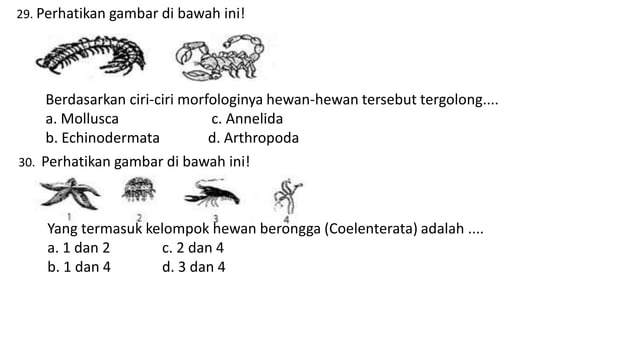 SOAL INTERAKSI MAKHLUK HIDUP DENGAN LINGKUNGANNYA IPA.pdf