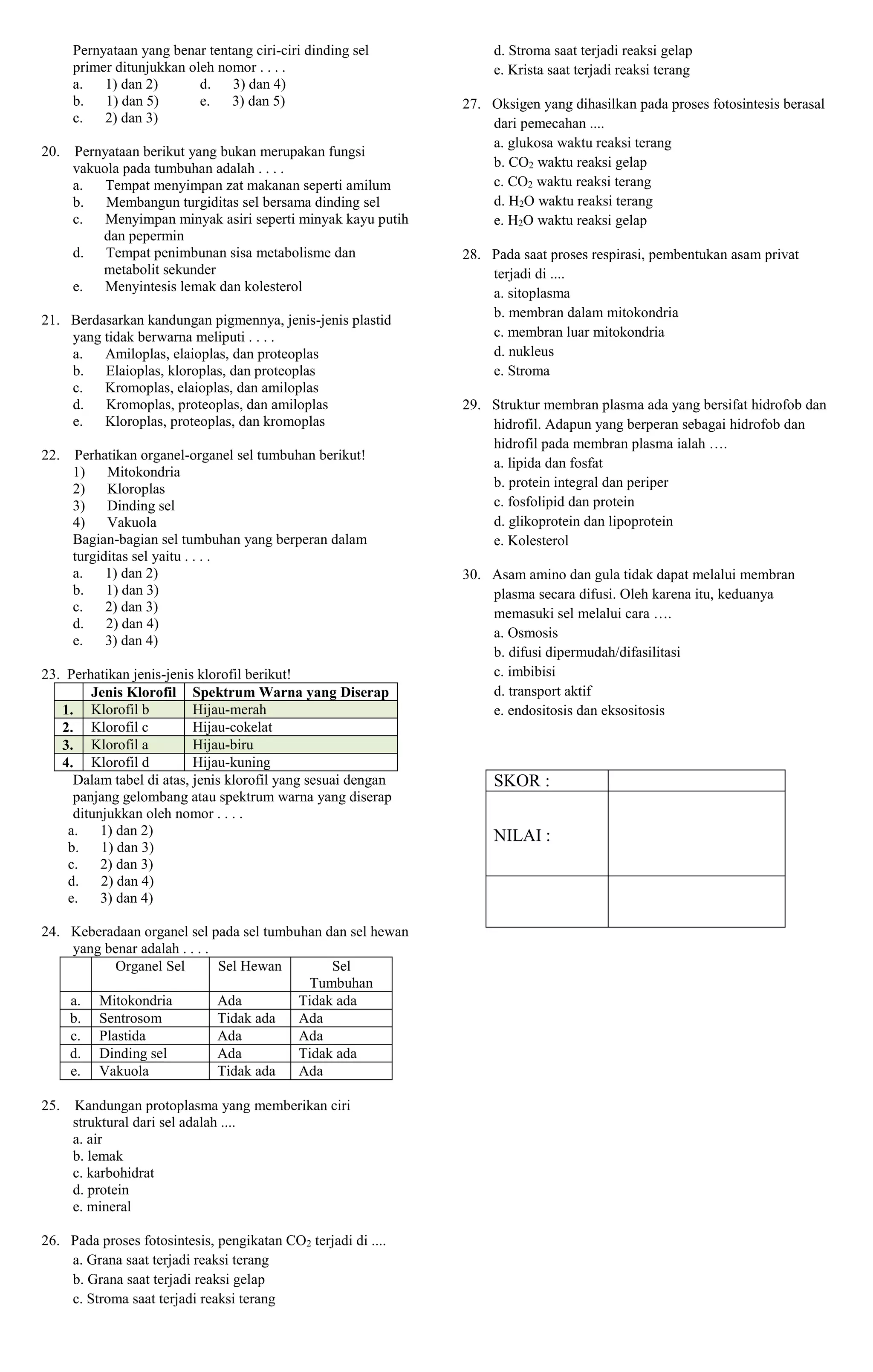 Contoh Soal ulangan harian sel kelas XI | DOCX