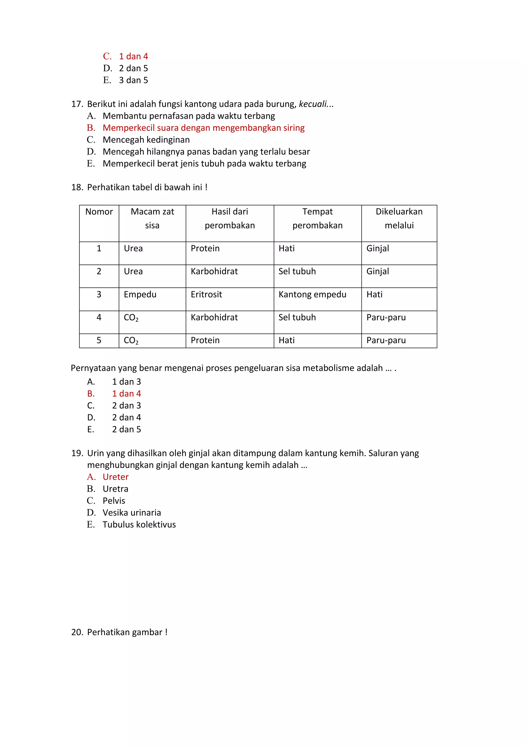 Soal ukk smt 2 1011 | PDF
