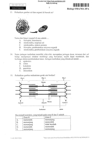 Soal un biologi ipa sma tahun 2014 13 | PDF