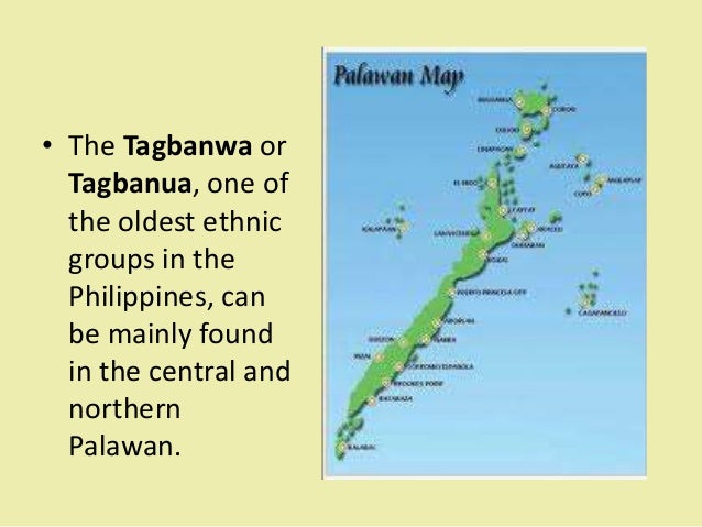 Sociology and Anthropology Report in Transcultural Nursing featuring