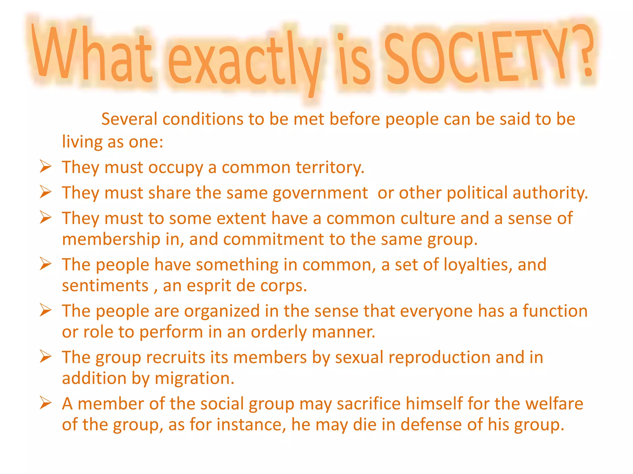 Chapter 3 - Social Structure | PPTX