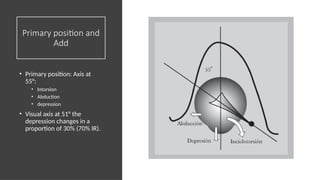 anatomía del oblicuo superior imagen y localizacion | PPTX