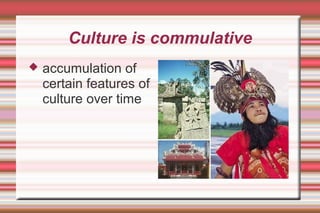 characteristics of culture | PPT