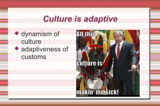 characteristics of culture | PPT