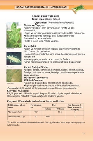 Soğan sarimsak hastalik ve zararlilari | PDF