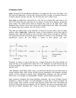 Preparation Of Soap In Chemistry Project