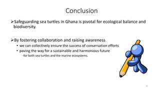 SOA PPT ON SEA TURTLES.pptx