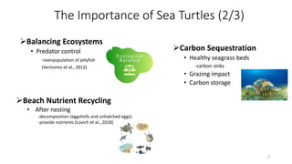 SOA PPT ON SEA TURTLES.pptx