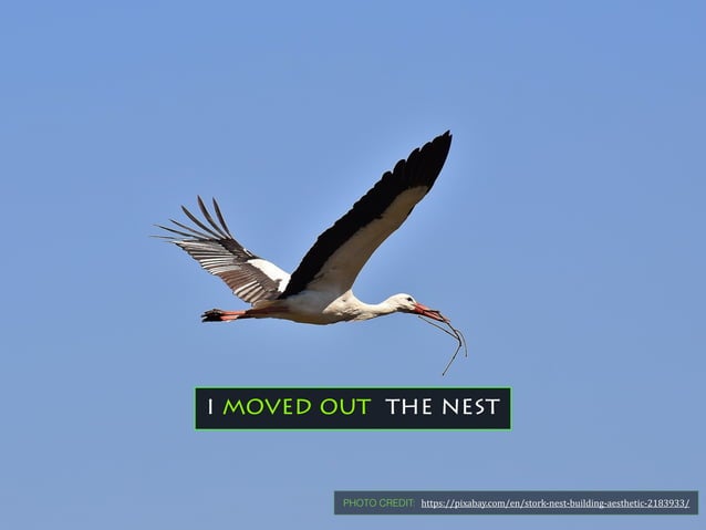 Sobiczewski_andrew ppp_final_slides | PPT