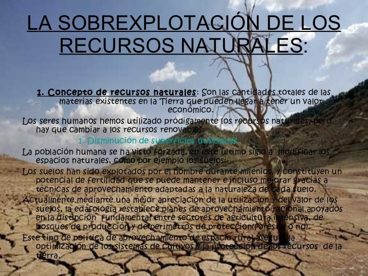 DESARROLLO SOSTENIBLE - Mind42