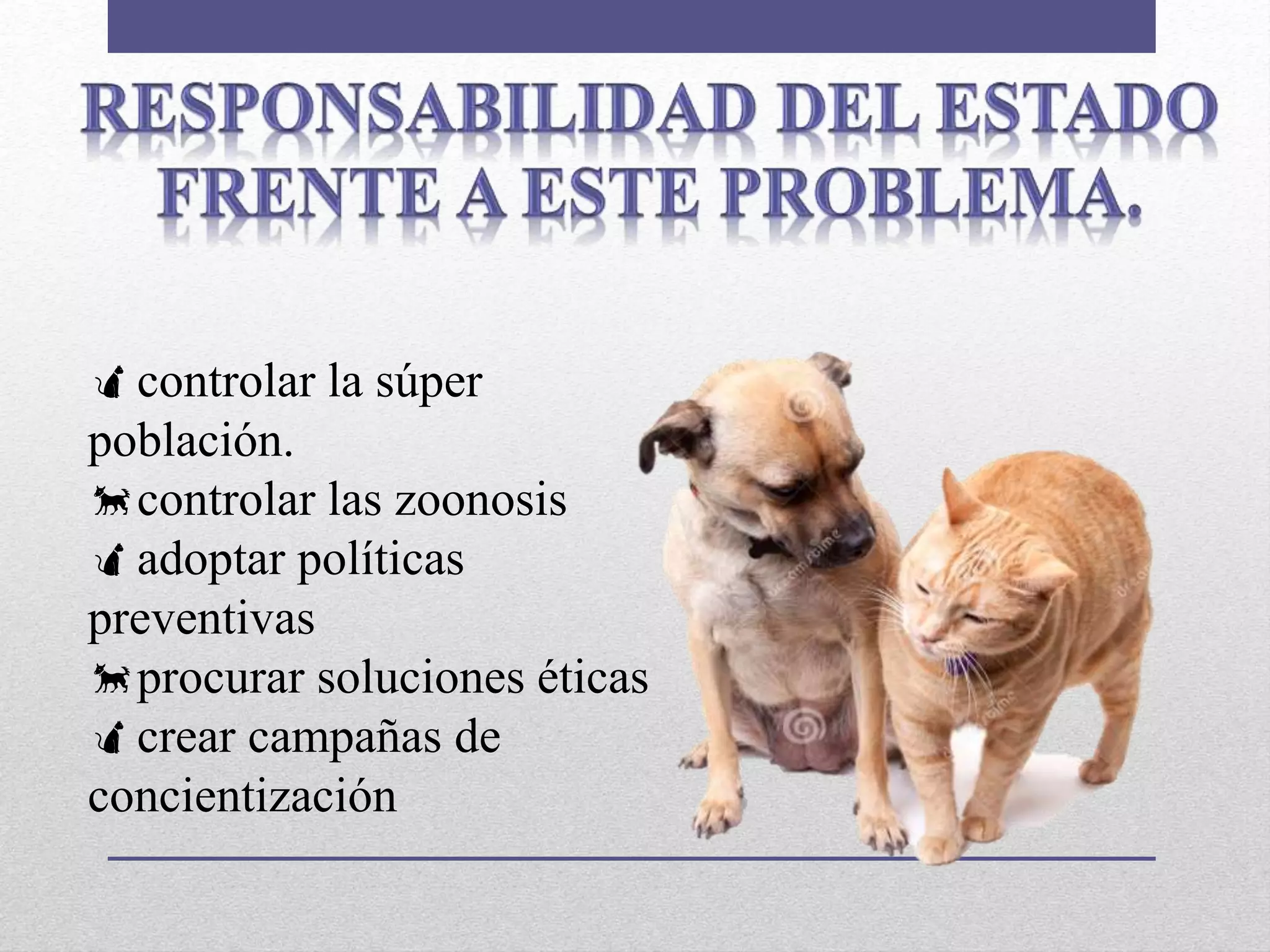 Sobrepoblación Canina Y Felina Ppt