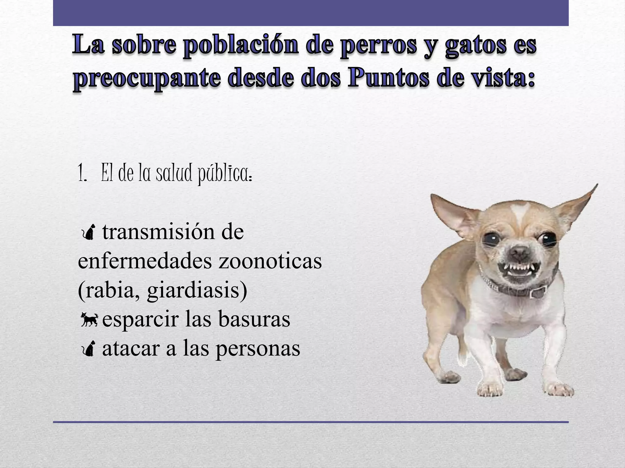 Sobrepoblación Canina Y Felina Ppt