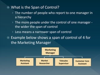 Span of Control (Management) | PPTX