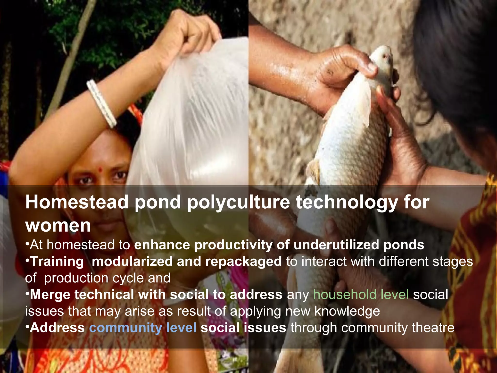 Merging the social with the technical: Using a gender transformative ...