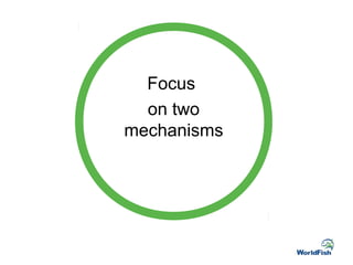 A Gender Transformative Approach: Why what and how? | PPT