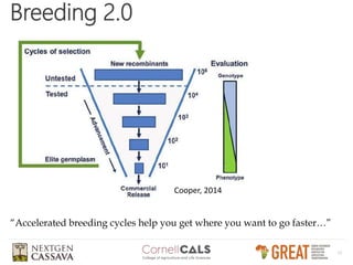 Gender-responsive breeding and product profiles - Developing gender ...
