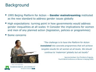 Discursive translations of gender mainstreaming norms: the case of ...