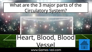 Soccer-PPT-Game-Template Blood Vessel.pptx