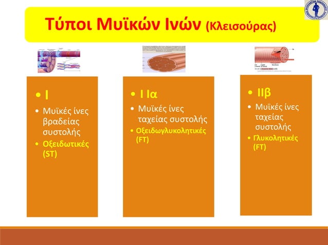 Soccer speed training and periodization | PDF