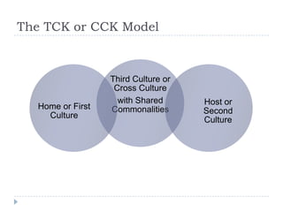 Soc emo class tck slides | PPTX | Family and Relationships