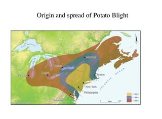 Irish Potato Famine Migration Map