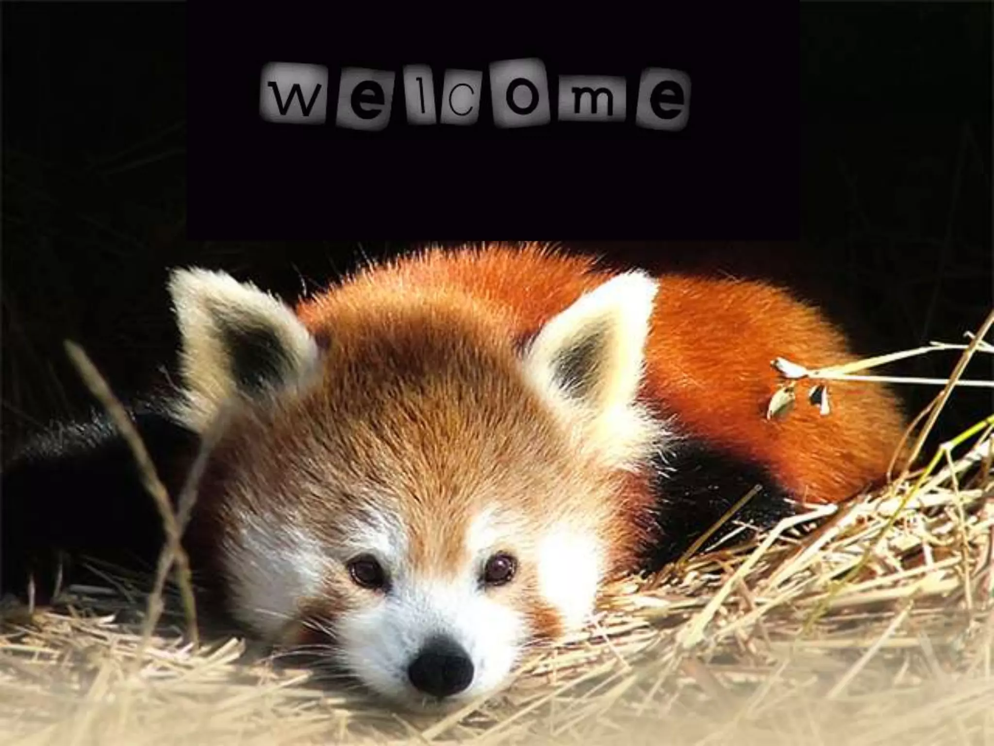 Conservation, distribution and types of forests and wildlife | PPTX