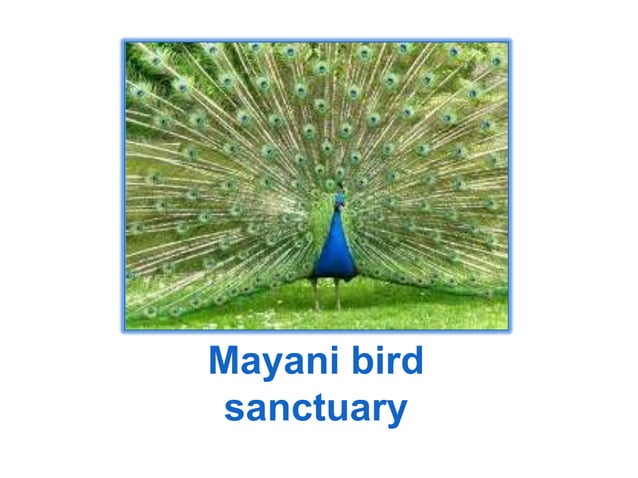 Conservation, distribution and types of forests and wildlife | PPTX