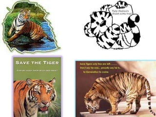 Conservation, distribution and types of forests and wildlife | PPTX