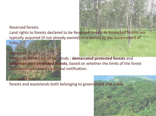 Conservation, distribution and types of forests and wildlife | PPTX