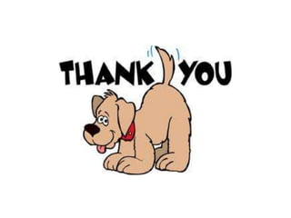 Conservation, distribution and types of forests and wildlife | PPTX