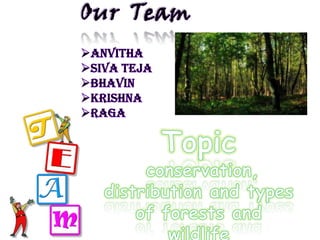 Conservation, distribution and types of forests and wildlife | PPTX