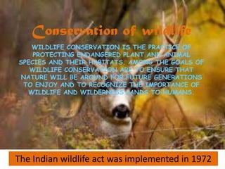 Conservation, distribution and types of forests and wildlife | PPTX