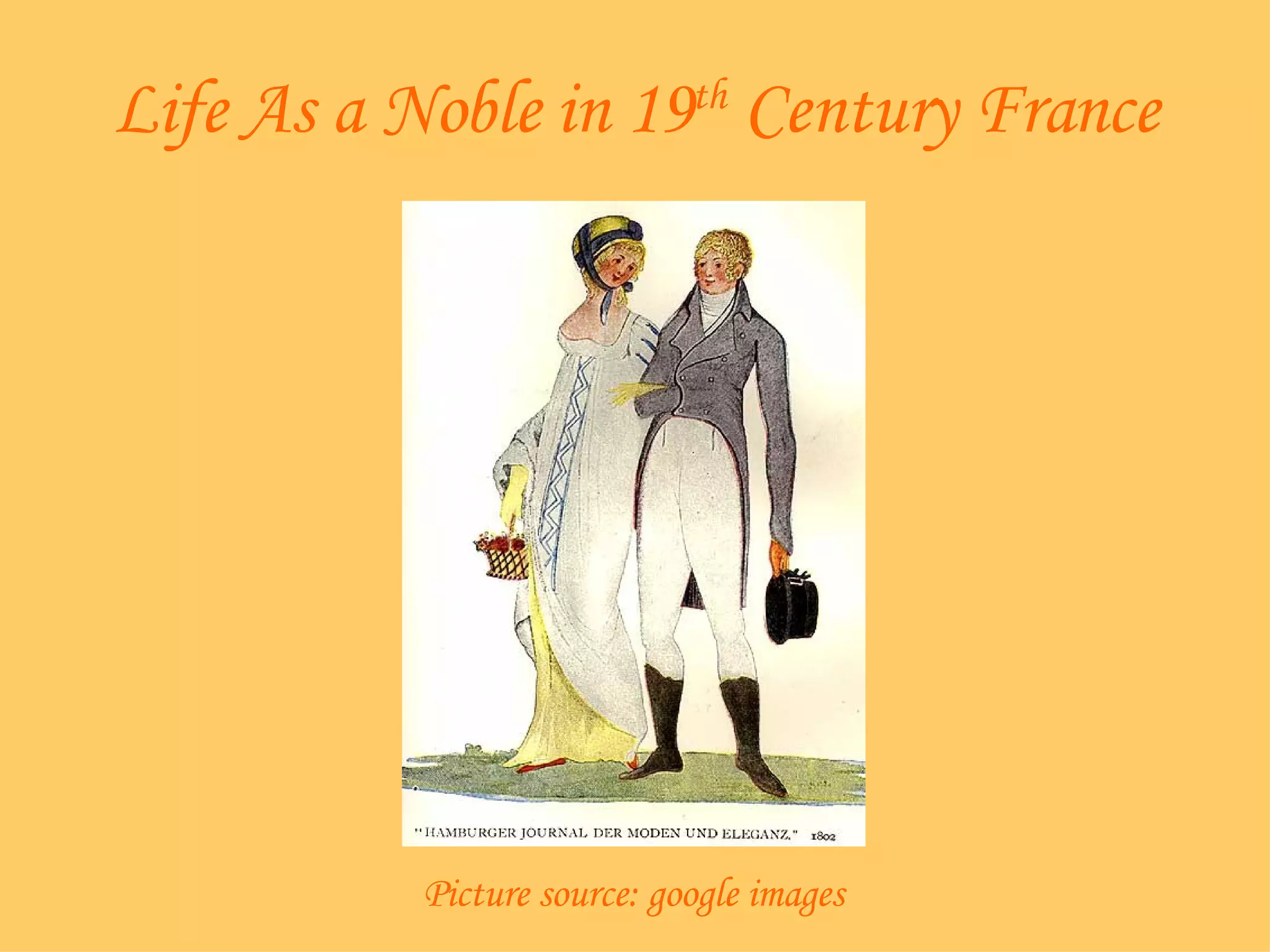 Social Classes of 19th Century France | PPT