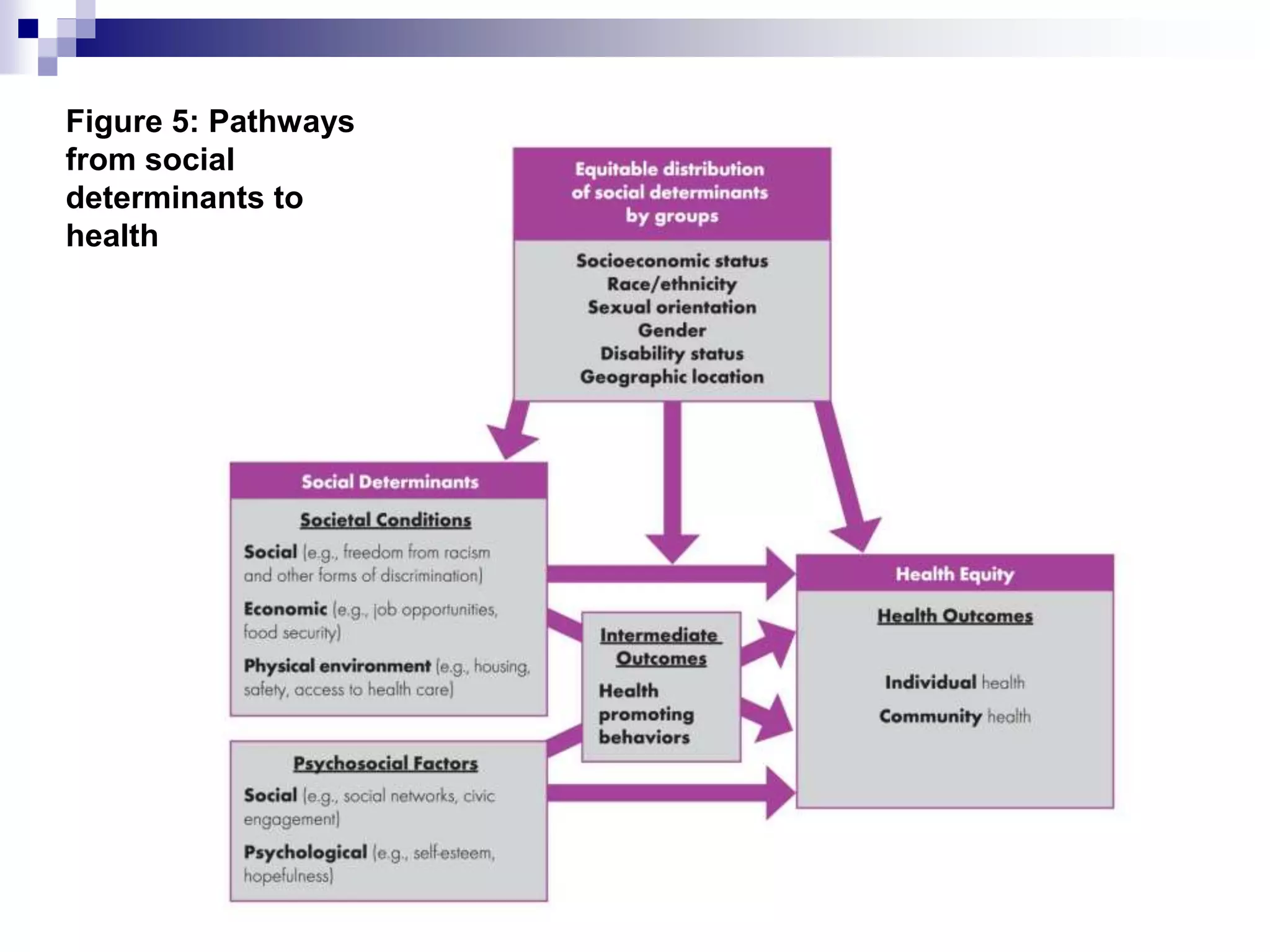 Social-Determinants-of-Health-Introductions-and-Definitions.ppt