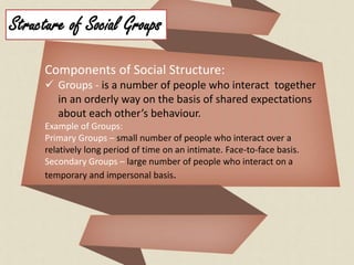 Social groups-and-societies | PPTX