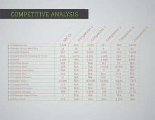 Social Media Audit Example | PDF